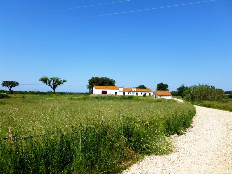 Herdade CORUCHE - santarem, coruche, coruche
